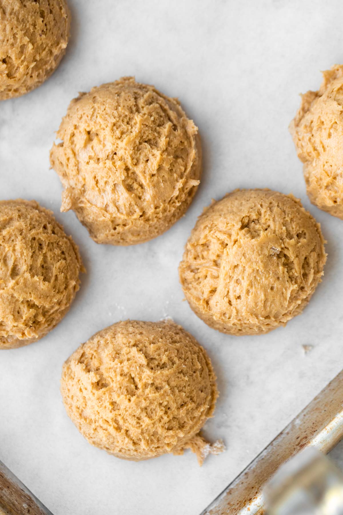 Easy PB2 Peanut Butter Cookies - In Krista's Kitchen