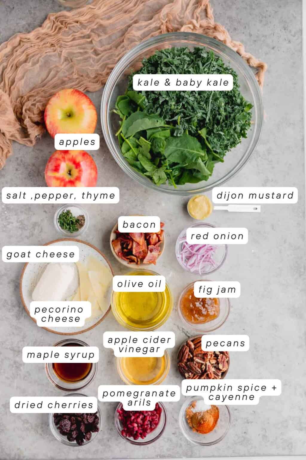 Harvest Kale Apple Salad - In Krista's Kitchen