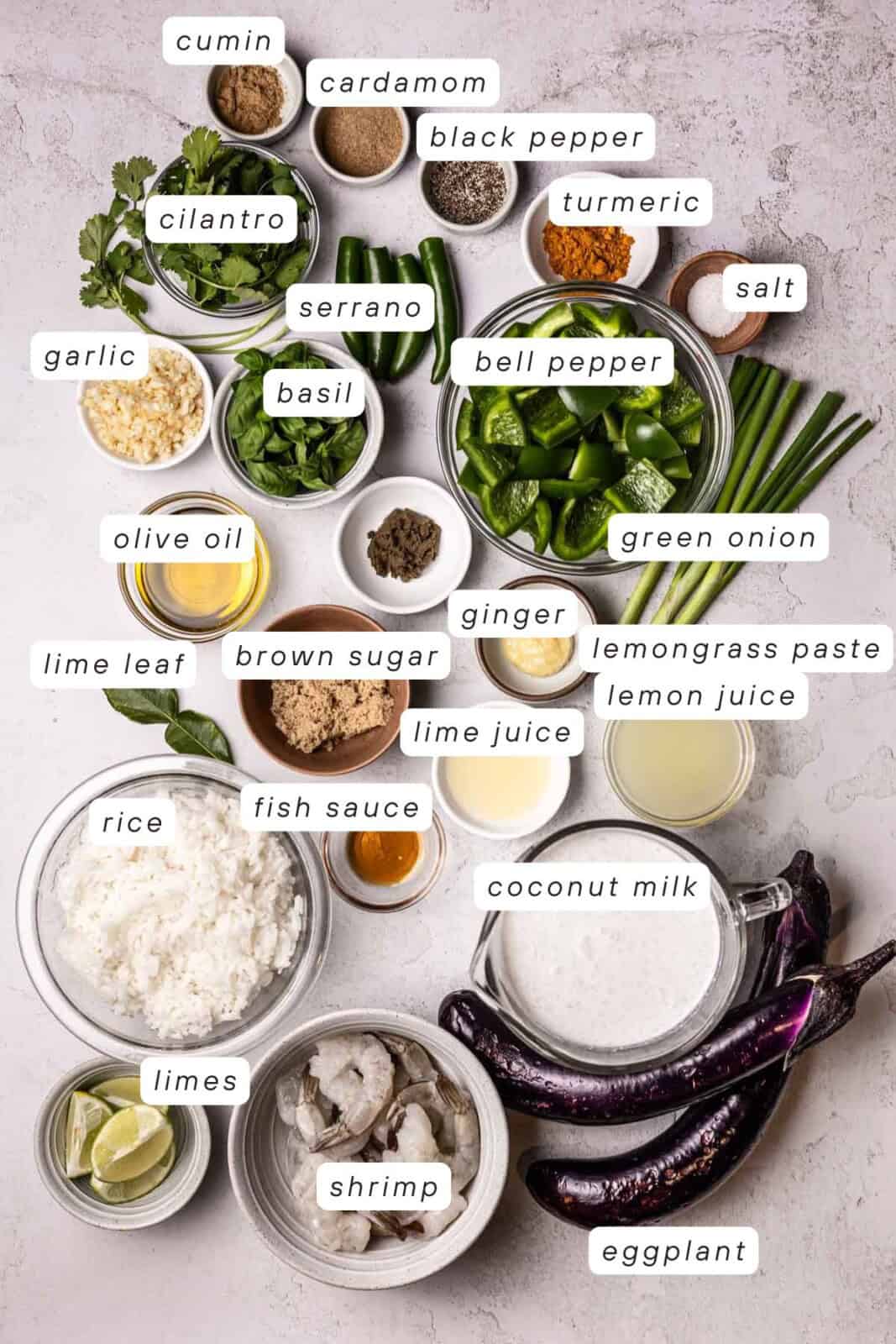 Easy Green Curry Shrimp (Thai Shrimp Curry) - In Krista's Kitchen